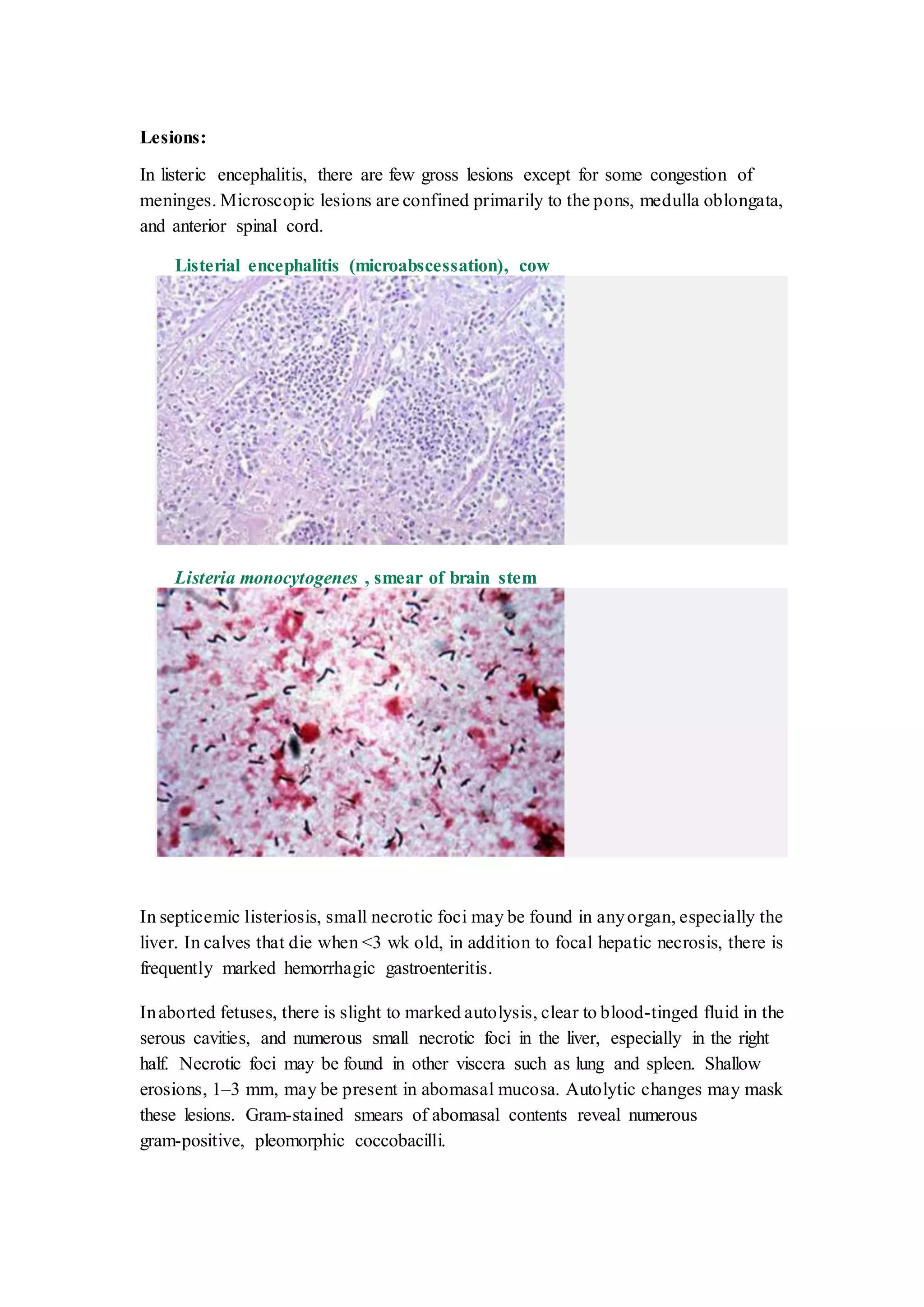 Diseases responsible for blindness in cattle | DOC
