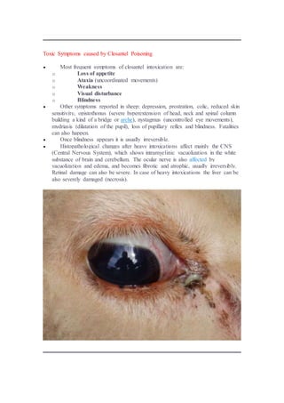 Diseases responsible for blindness in cattle | DOC