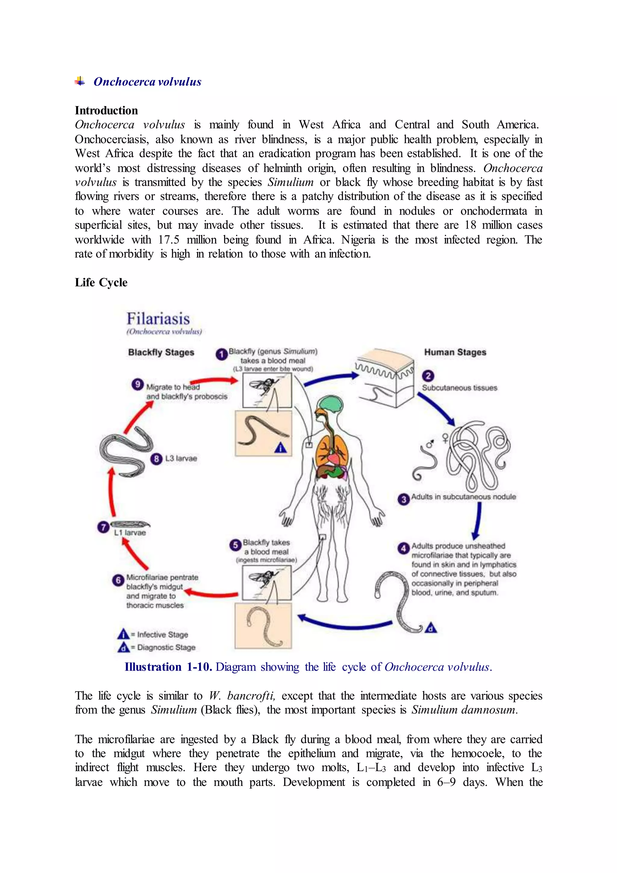 Classification of Microfilaria | DOCX
