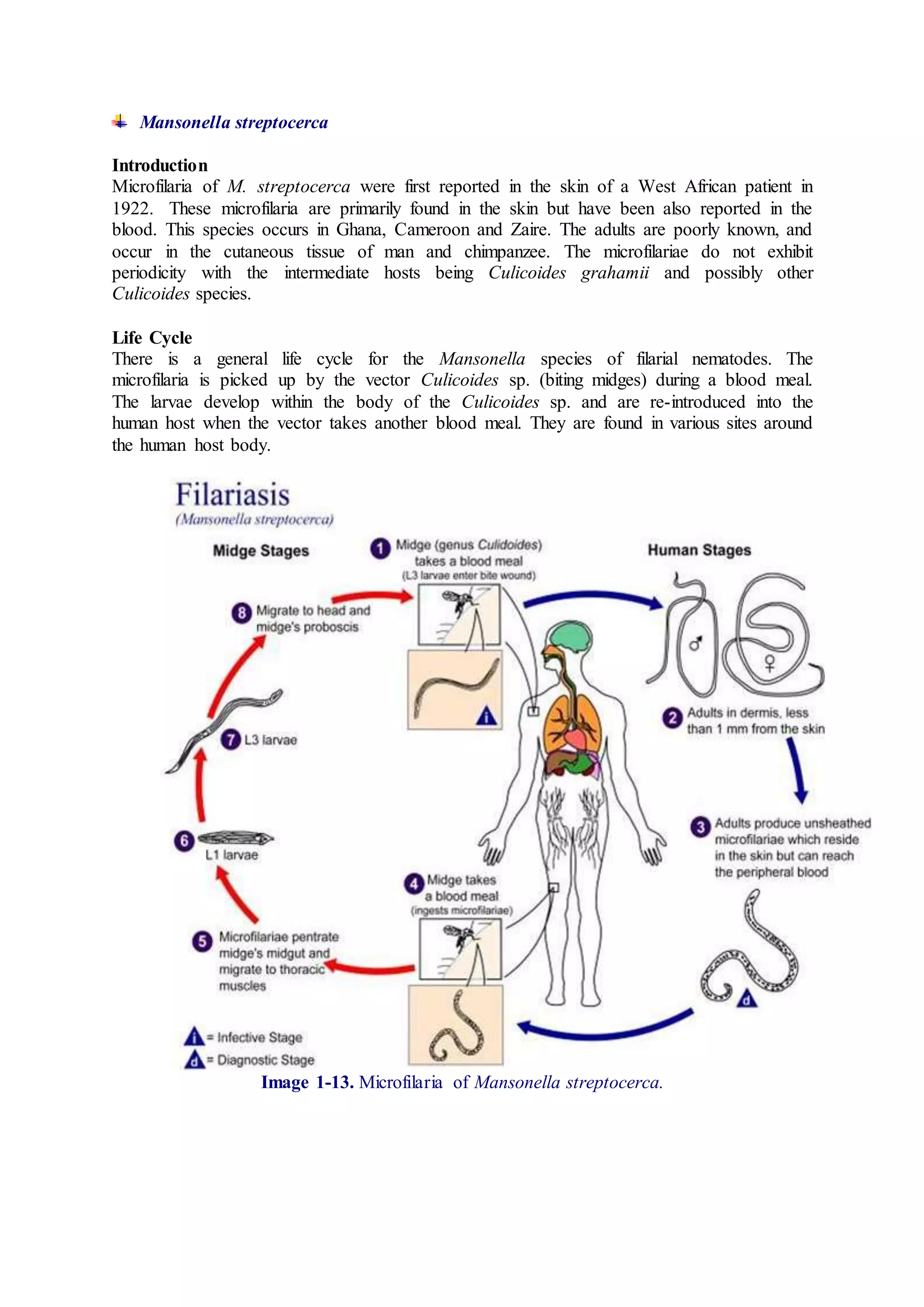 Classification of Microfilaria | DOCX