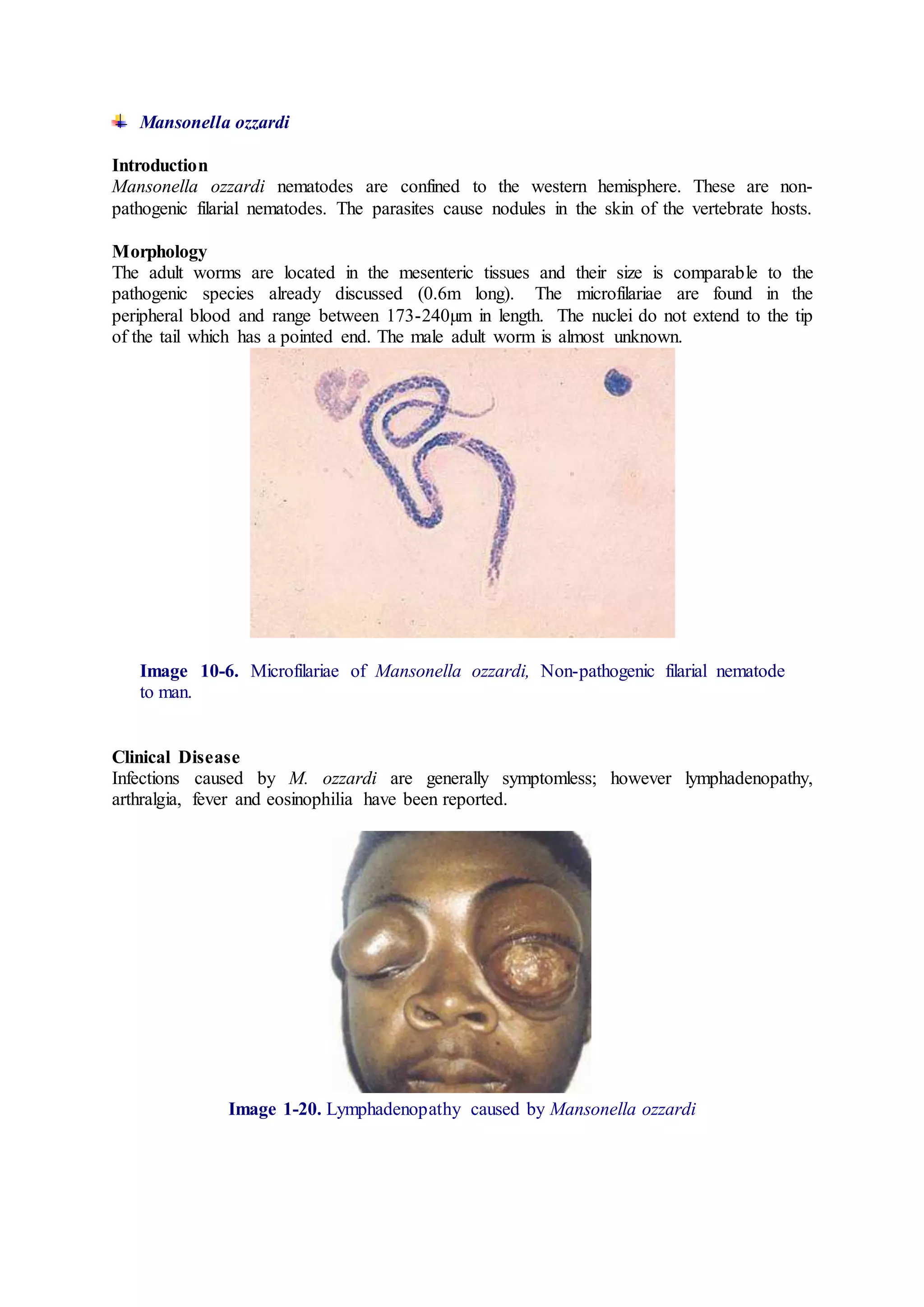 Classification of Microfilaria | DOCX