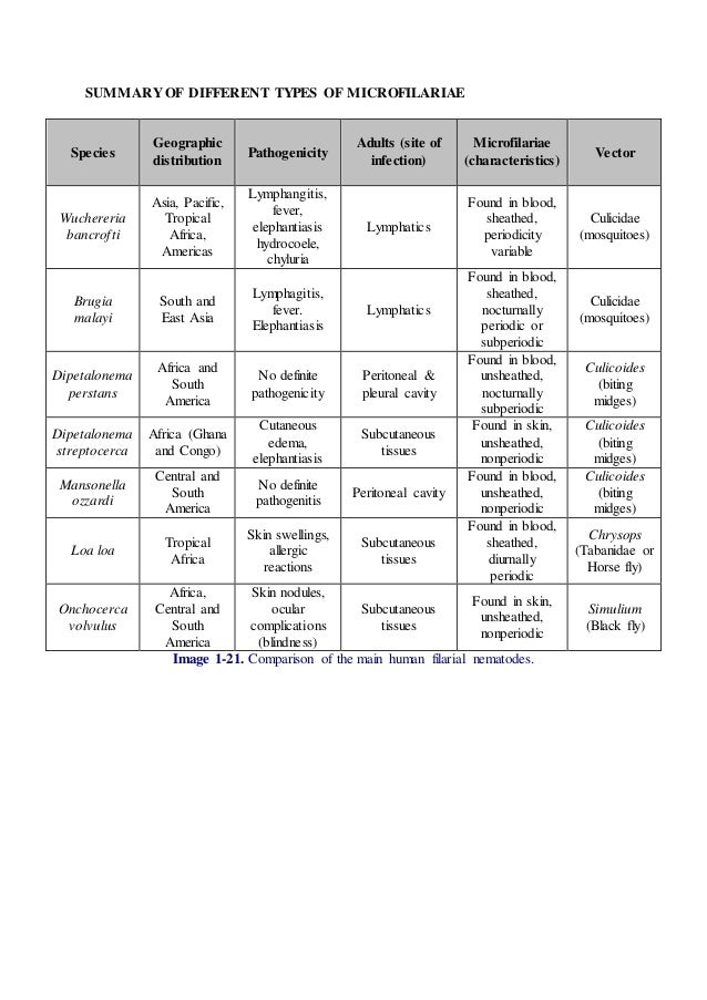 Classification of Microfilaria