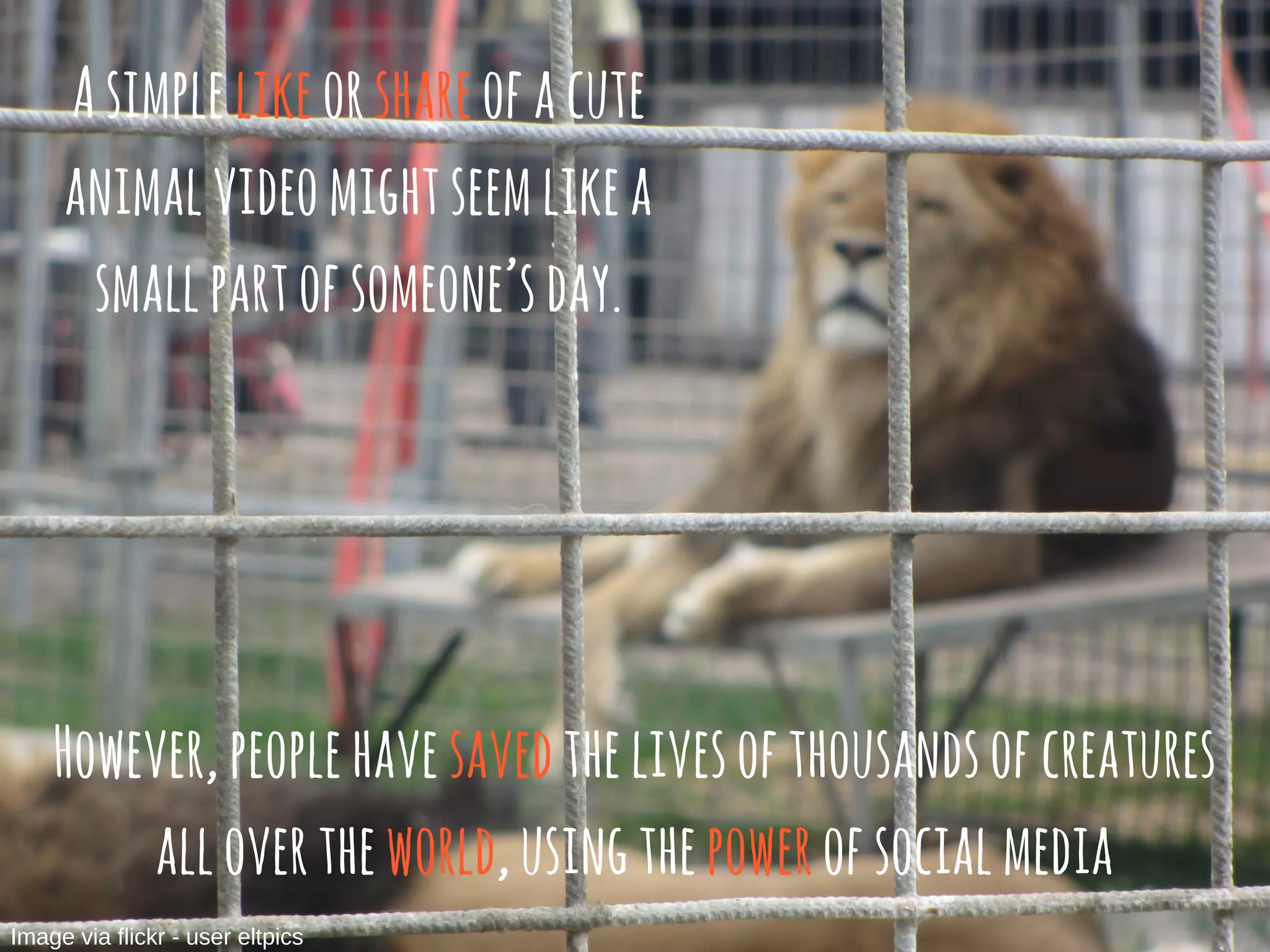 Assignment 2 Film240 Renee Rosario | PDF