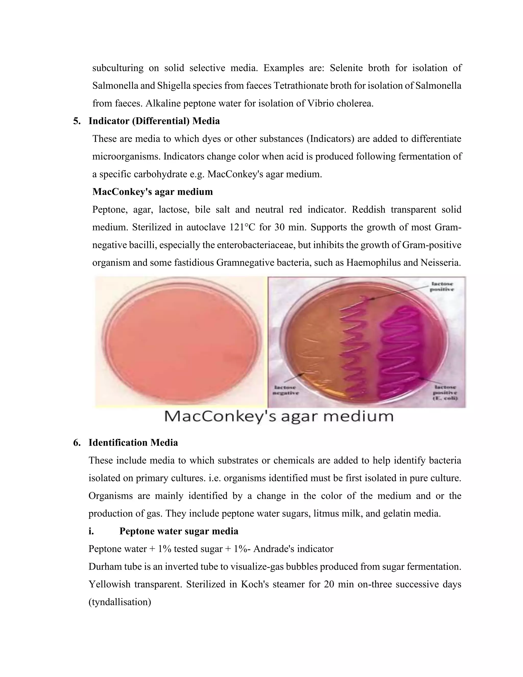 Bacterial Culture Media | PDF
