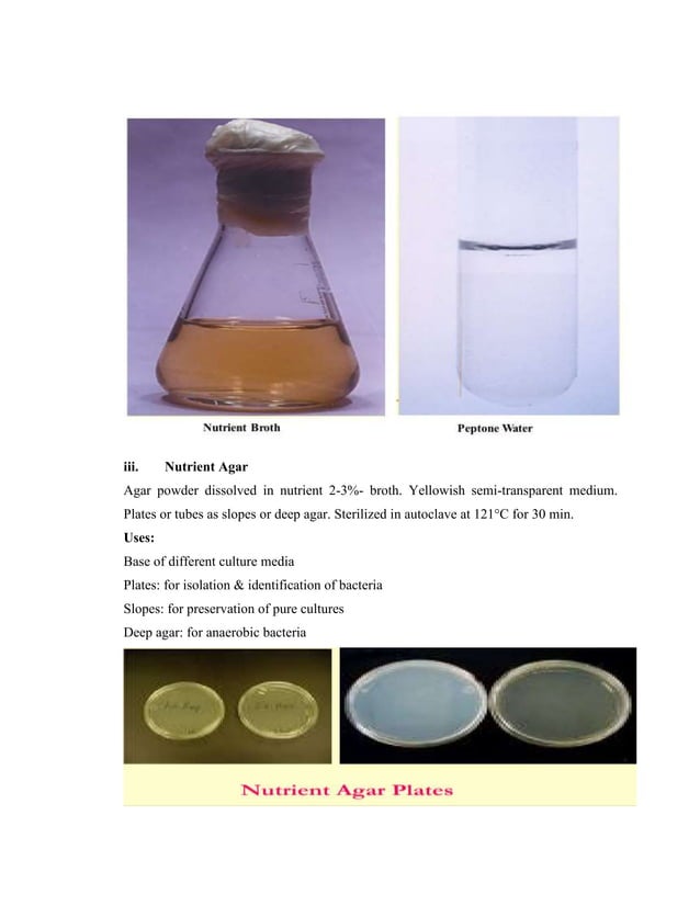 Bacterial Culture Media | PDF