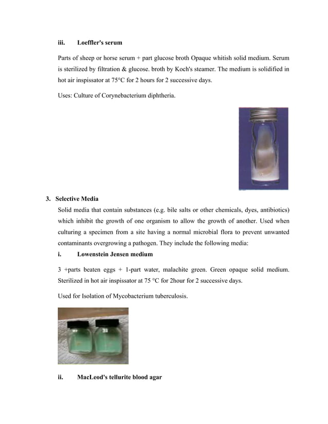 Bacterial Culture Media | PDF