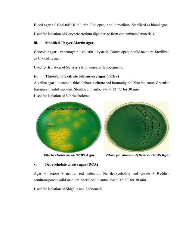 Bacterial Culture Media | PDF