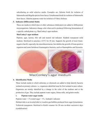 Bacterial Culture Media | PDF