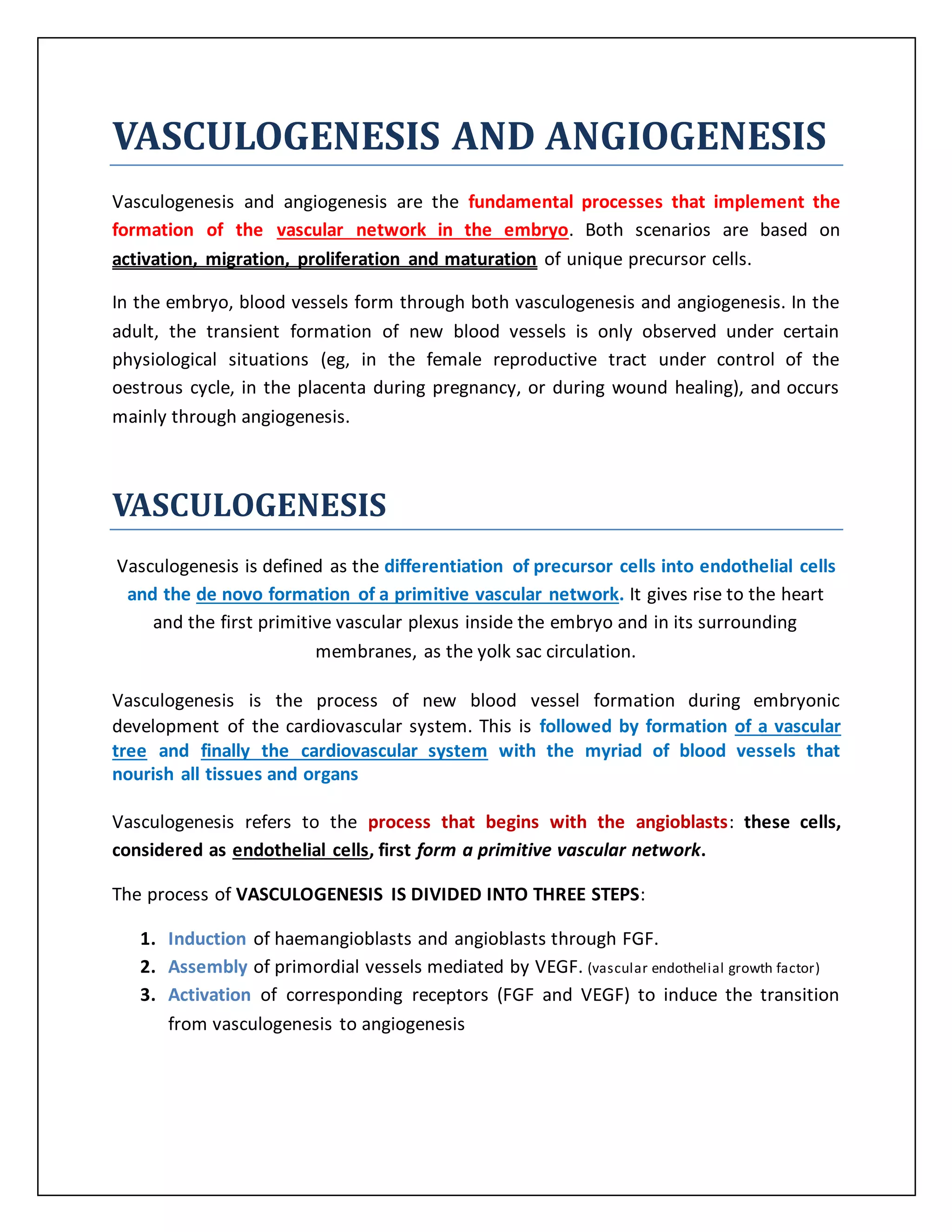 vasculogenesis and angiogenesis | DOCX