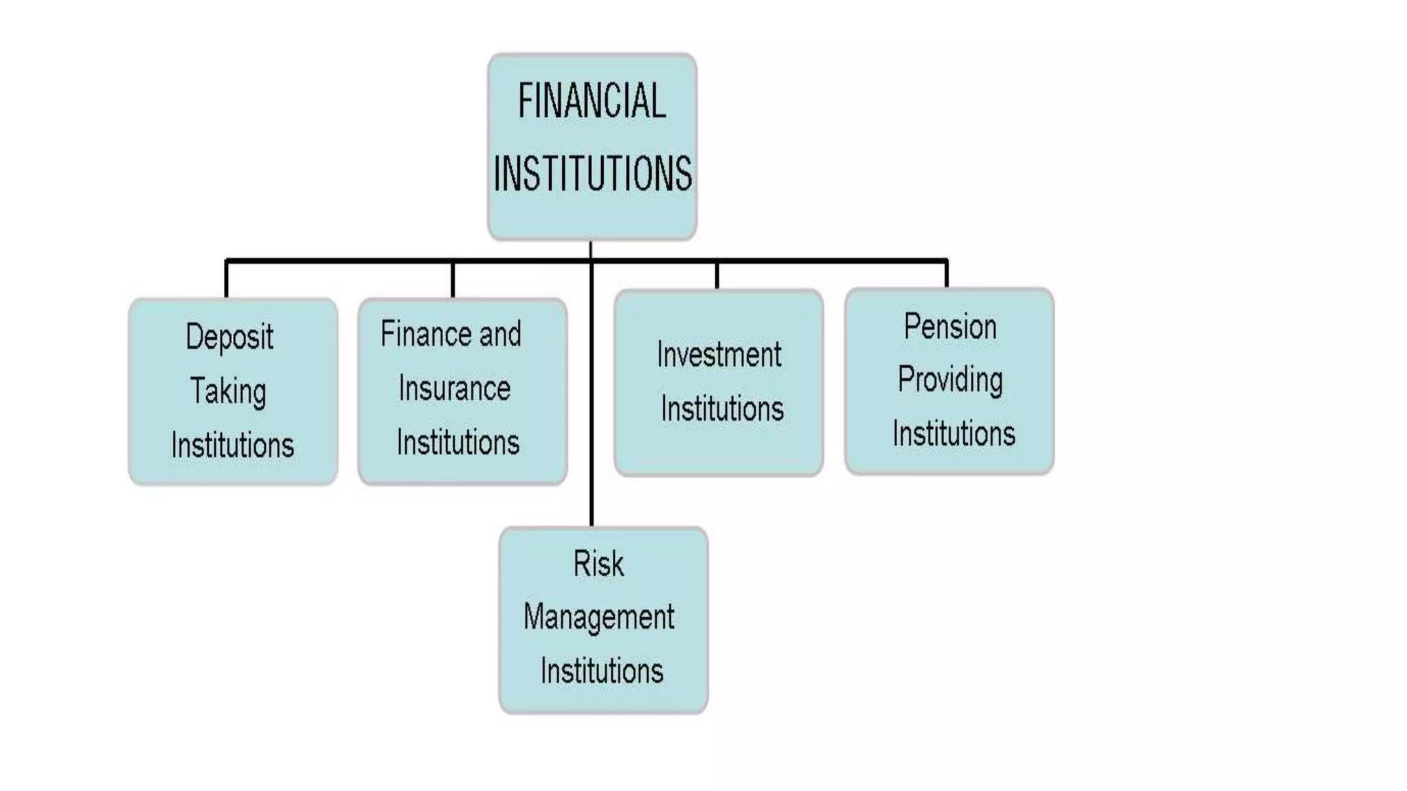 role of financial insitution | PPTX