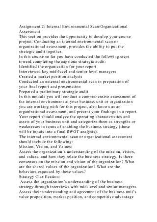 Assignment 2 Internal Environmental ScanOrganizational Assessment.docx ...