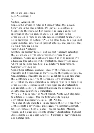 Assignment 2 Internal Environmental ScanOrganizational Assessment.docx ...