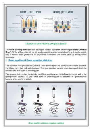 Microbial Bio energy & Bio Fuels | PDF
