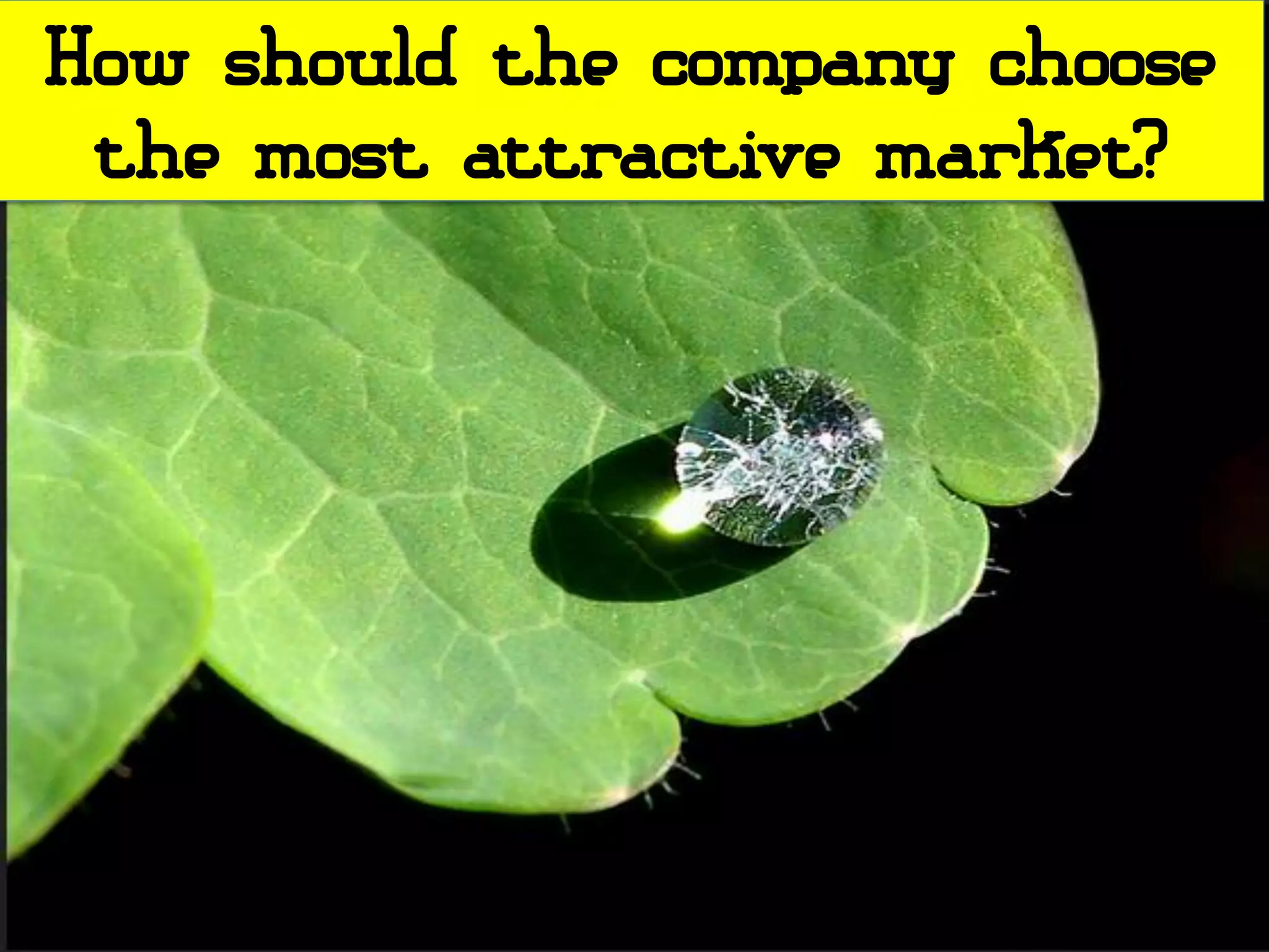 Choosing the most attractive target market | PPT