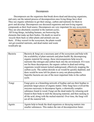 Decomposers | PDF