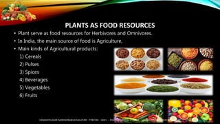Food Resources | PPTX