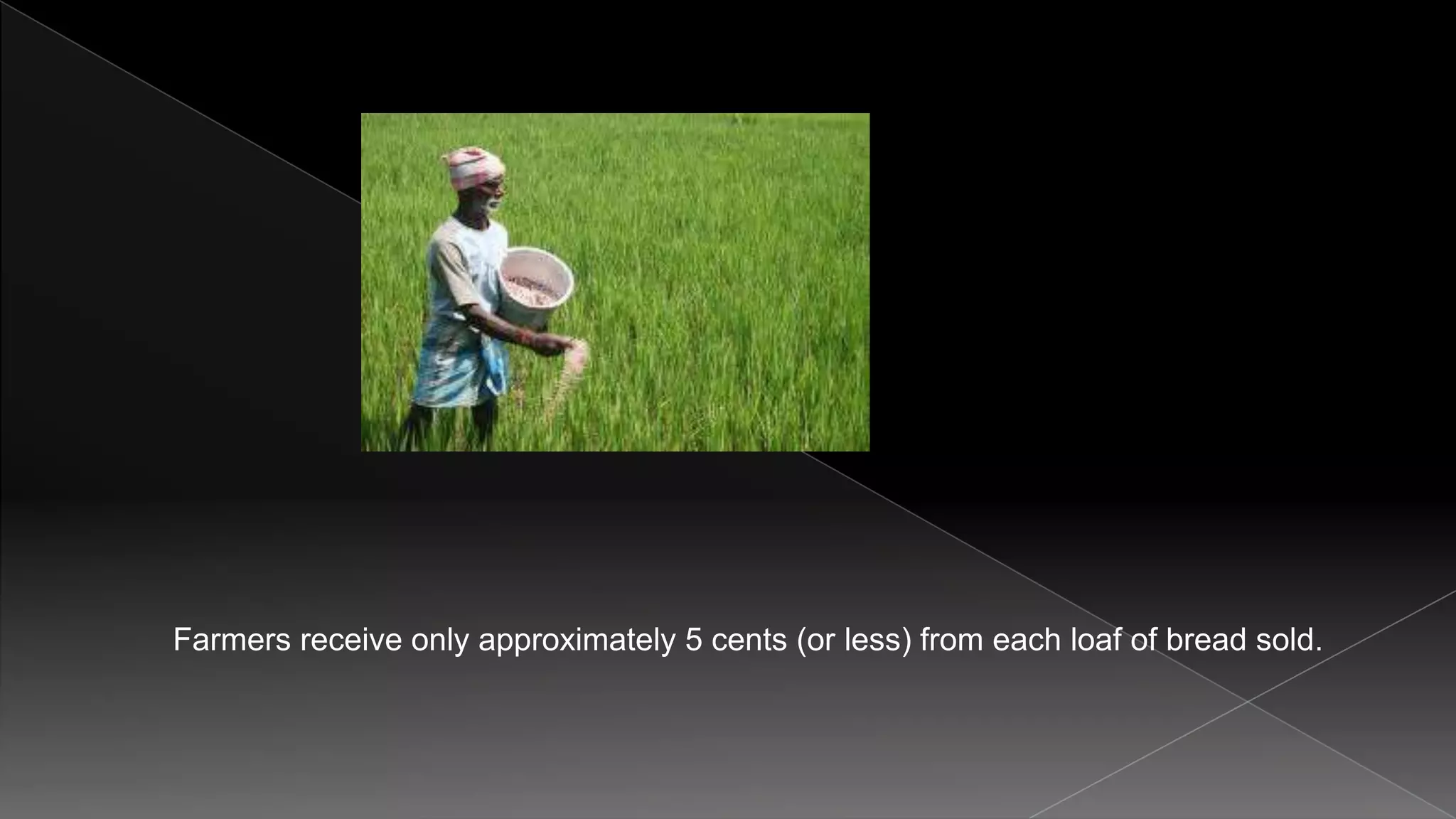 Assignment 3 bread loaf | PPTX