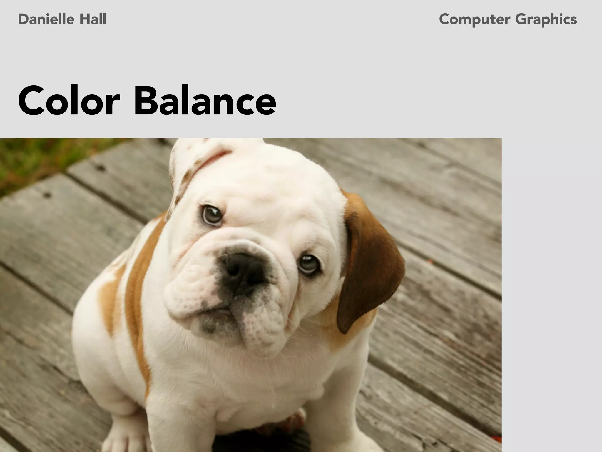 Assignment 3 - Photoshop Exercises and Final Image | PDF
