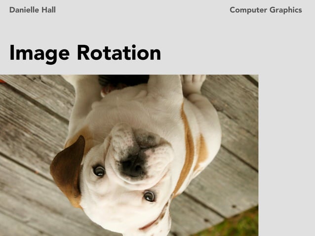 Assignment 3 - Photoshop Exercises and Final Image | PDF