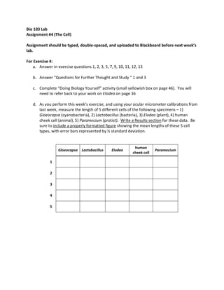 Assignment4 Cell | PDF
