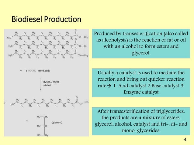 Biodiesel production process | PDF | Chemistry | Science