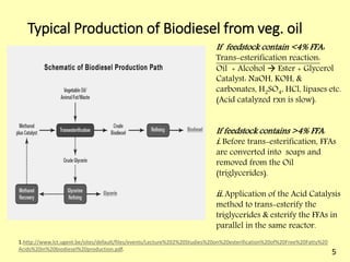 Biodiesel production process | PDF