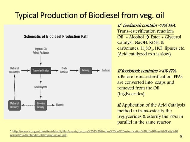 Biodiesel production process | PDF | Chemistry | Science