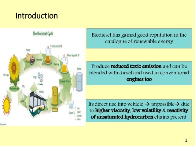 Biodiesel production process