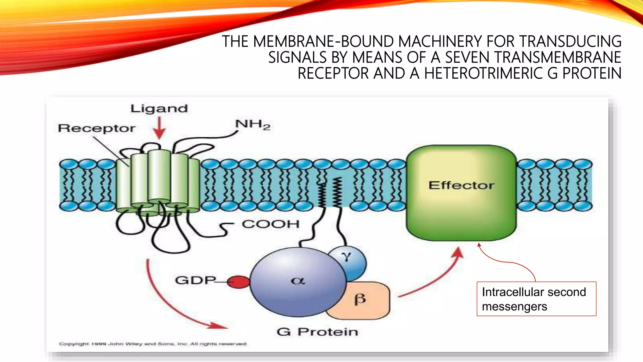 Signal transduction principle and mechanism in plants | PPTX