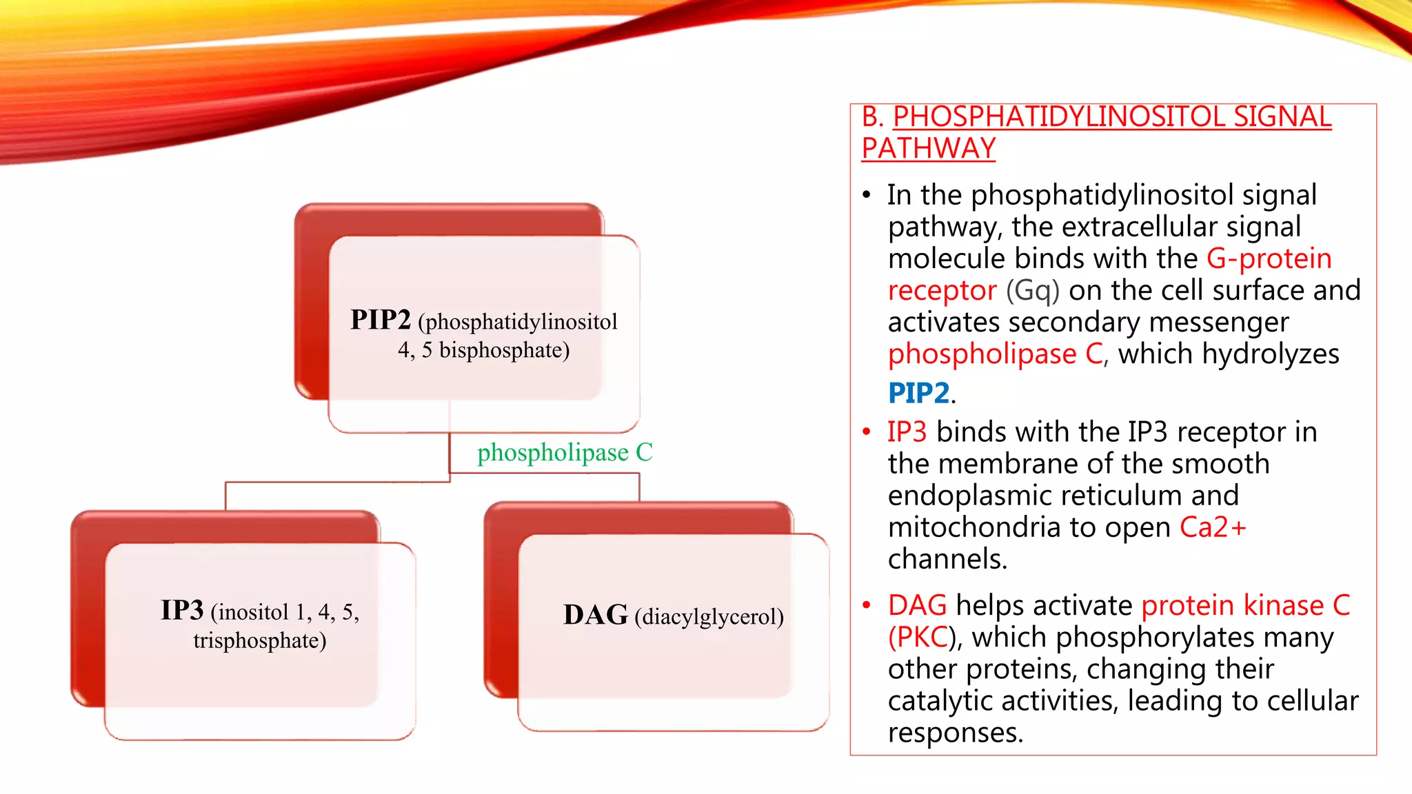 Signal transduction principle and mechanism in plants | PPTX