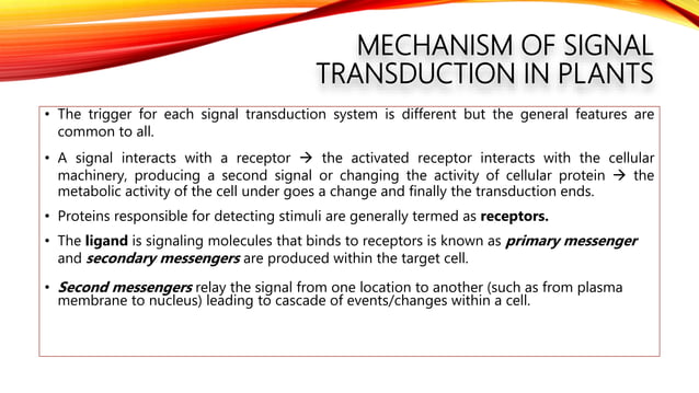 Signal transduction principle and mechanism in plants | PPTX