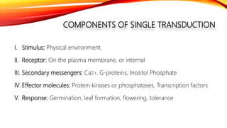 Signal transduction principle and mechanism in plants | PPTX