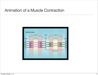 Assignment 6 how muscles work | PDF