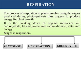 PHYSIOLOGICAL PROCESSES AND CROP PRODUCTIVITY | PPTX