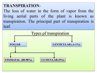 PHYSIOLOGICAL PROCESSES AND CROP PRODUCTIVITY | PPTX
