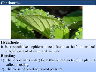 PHYSIOLOGICAL PROCESSES AND CROP PRODUCTIVITY | PPTX