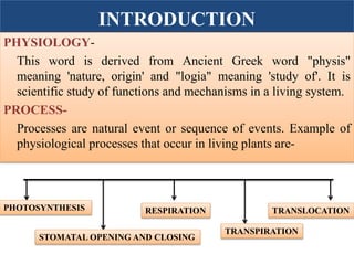 PHYSIOLOGICAL PROCESSES AND CROP PRODUCTIVITY | PPTX