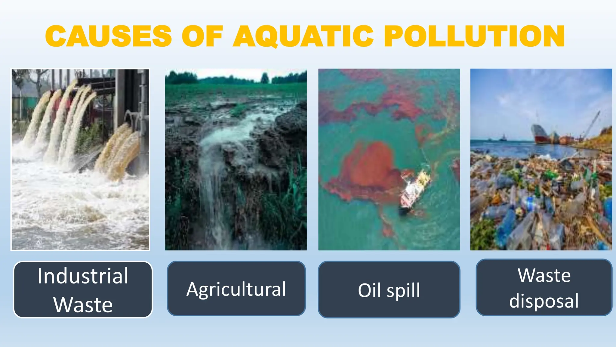 Pollution in aquatic aquatic ecosystem -problems,planning and ...