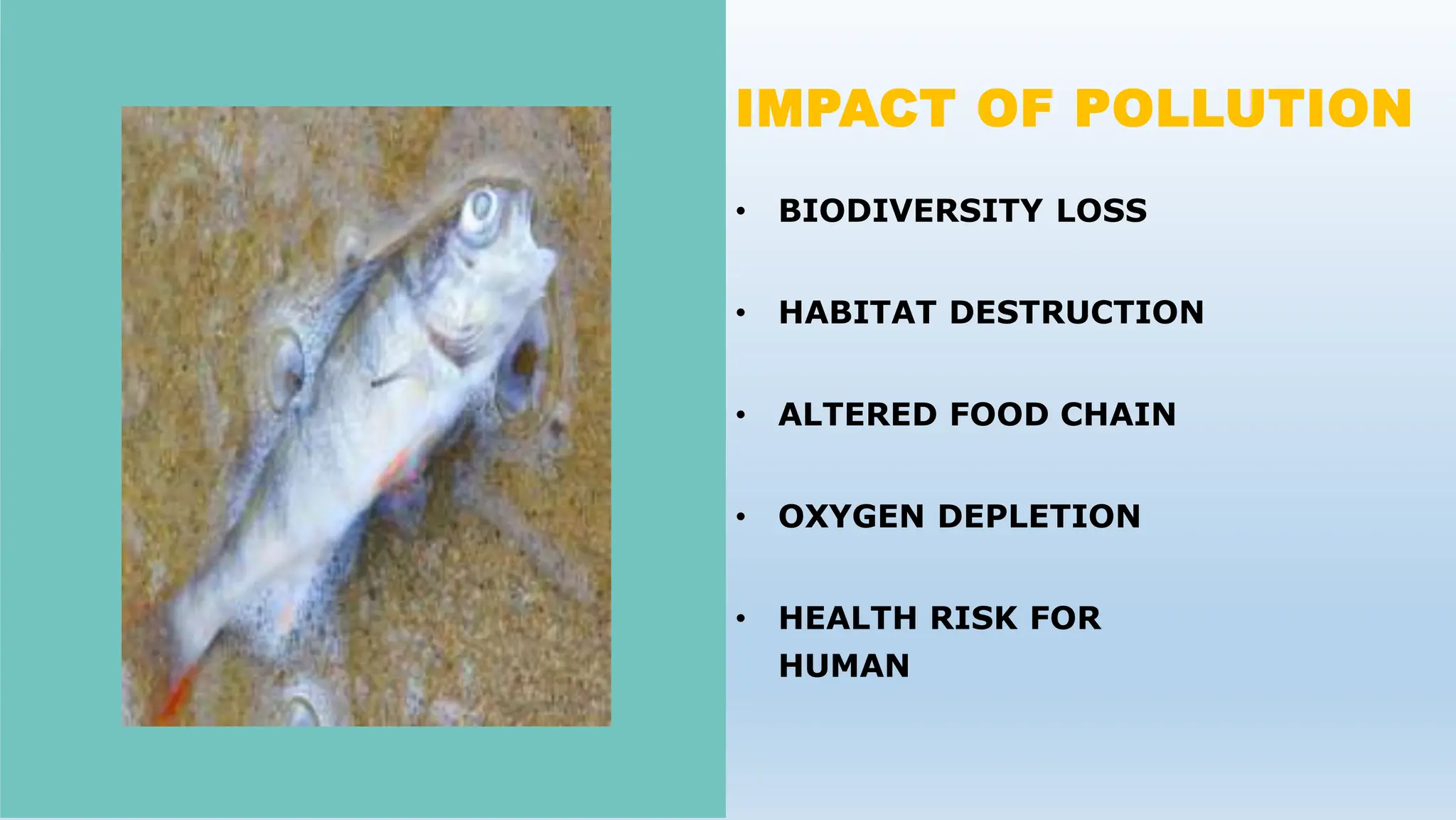 Pollution in aquatic aquatic ecosystem -problems,planning and ...