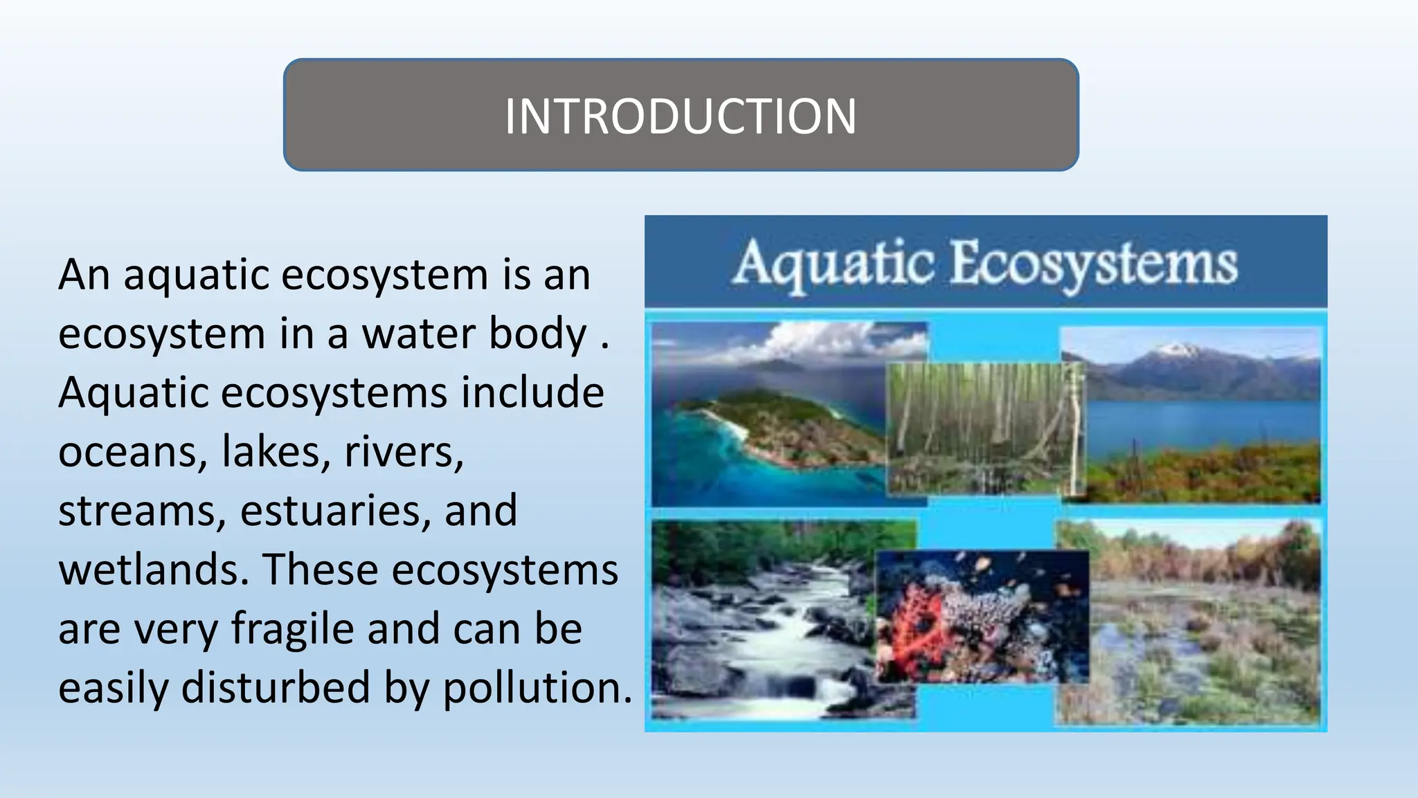 Pollution in aquatic aquatic ecosystem -problems,planning and ...
