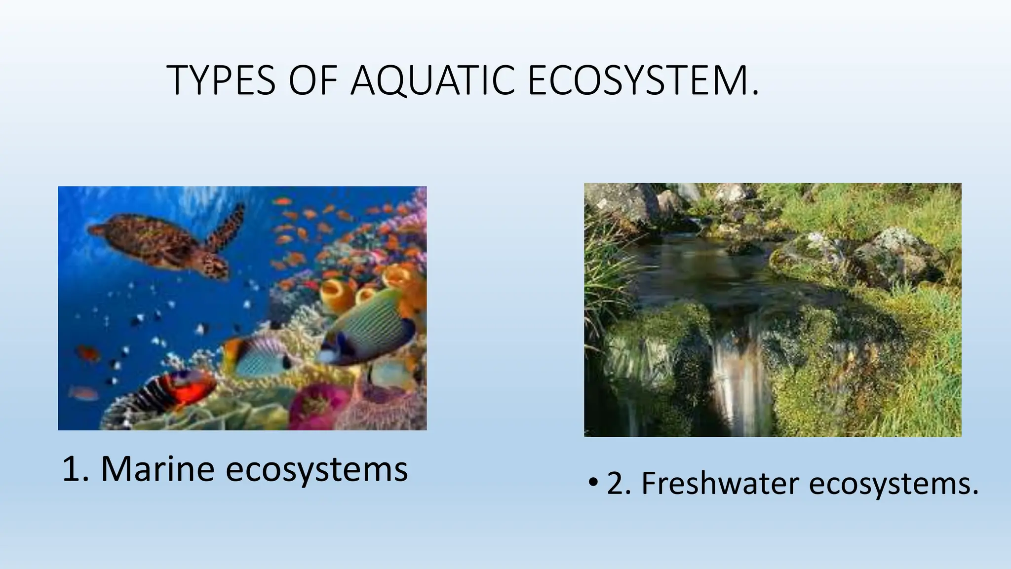 Pollution in aquatic aquatic ecosystem -problems,planning and ...
