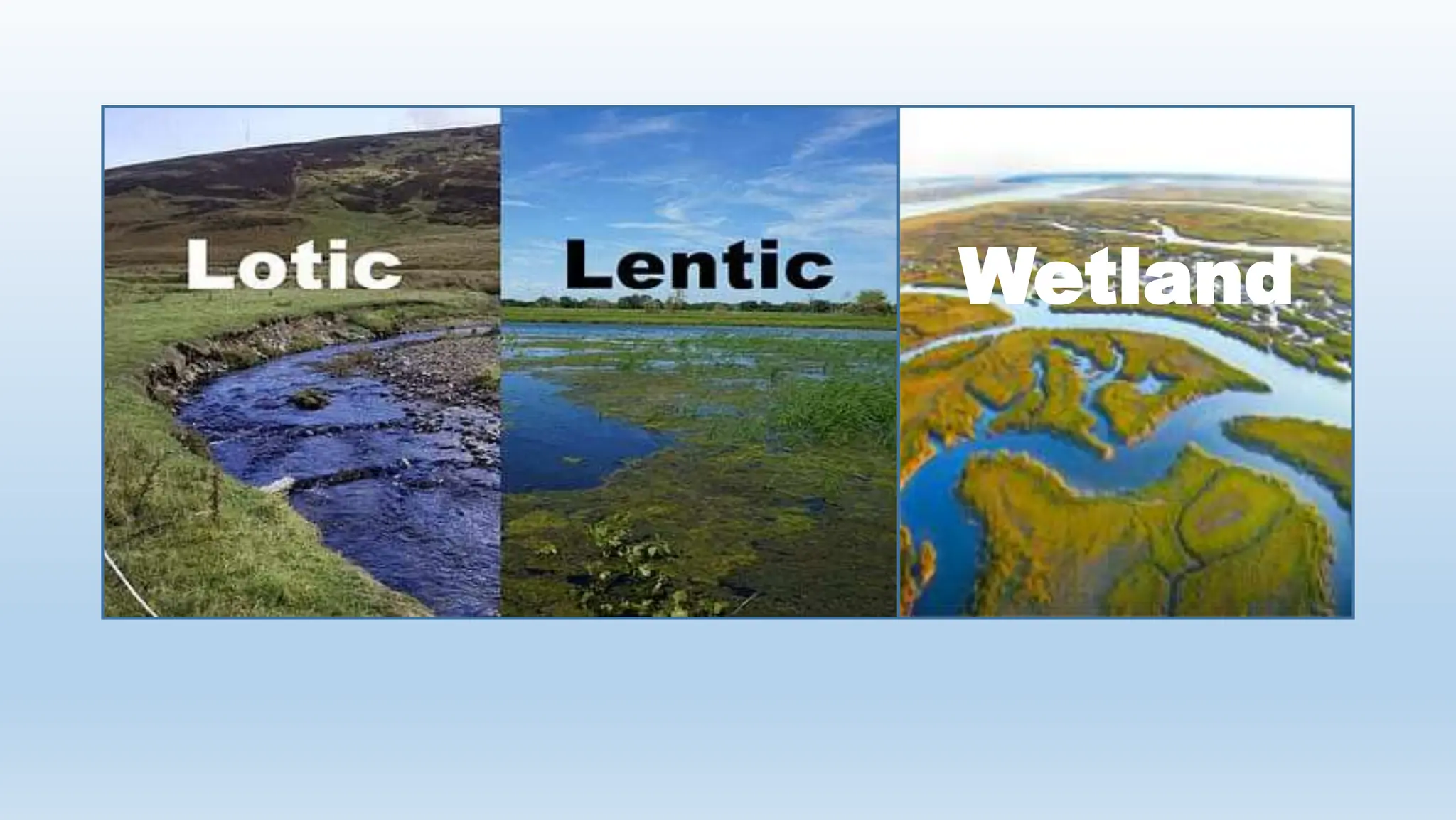Pollution in aquatic aquatic ecosystem -problems,planning and ...