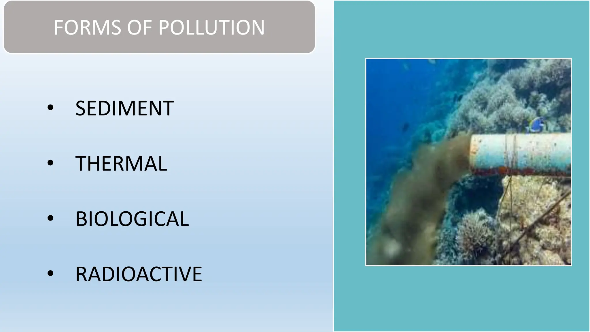 Pollution in aquatic aquatic ecosystem -problems,planning and ...