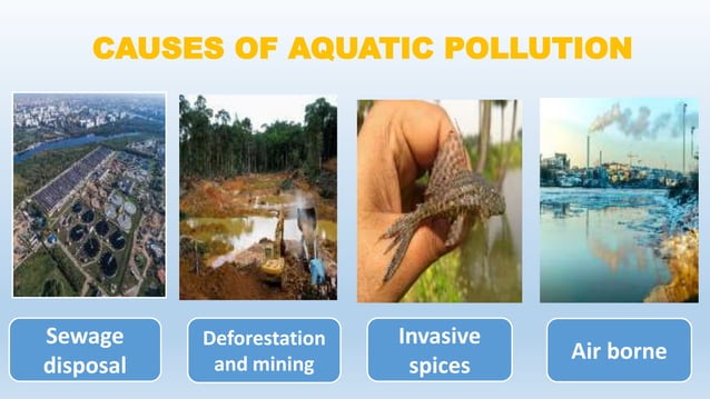 Pollution in aquatic aquatic ecosystem -problems,planning and ...