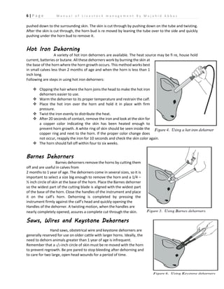 castration , hoof trimming ,milking technique of animal mannual | PDF
