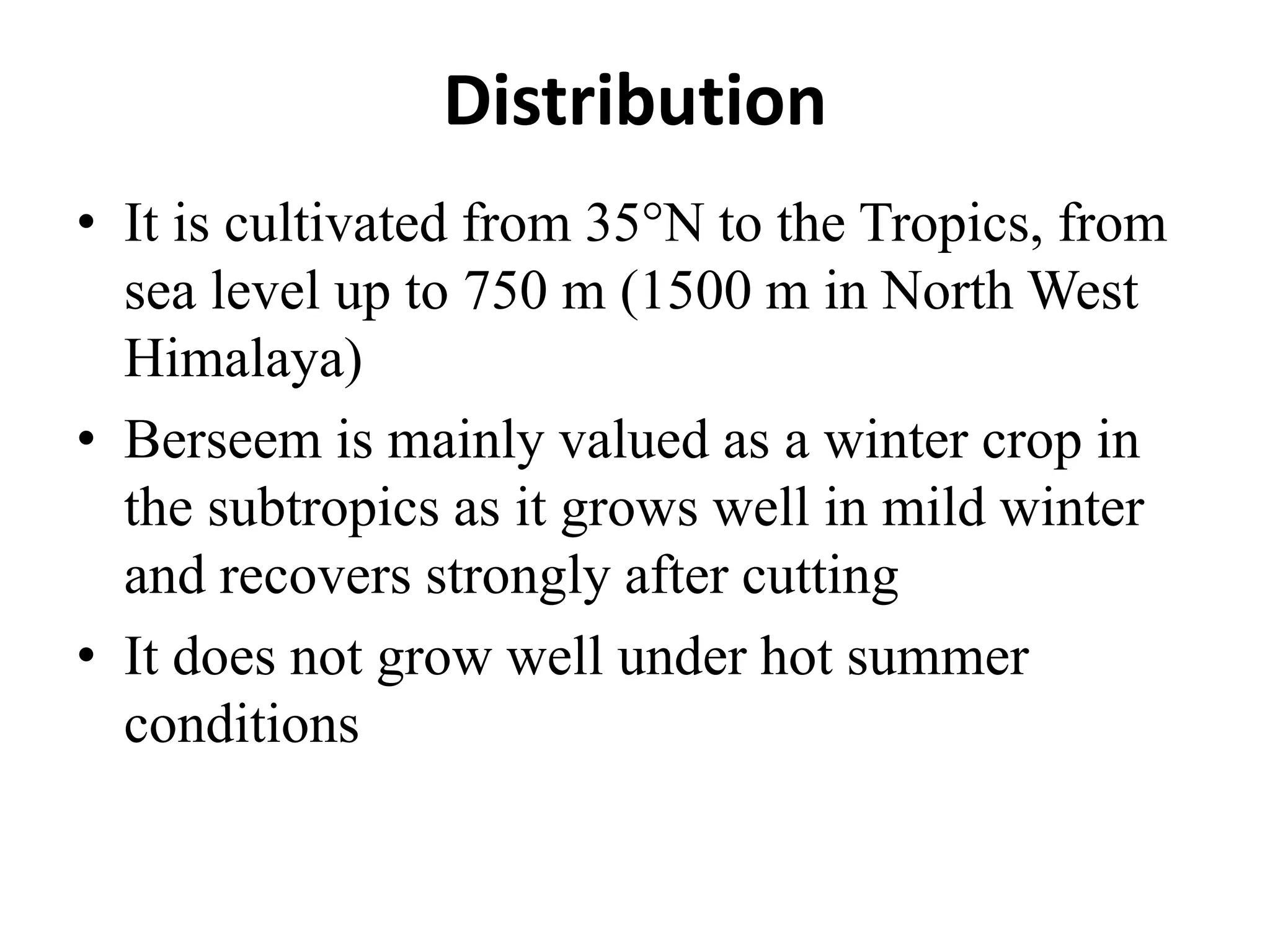 Berseem: Fodder Crop | PPTX