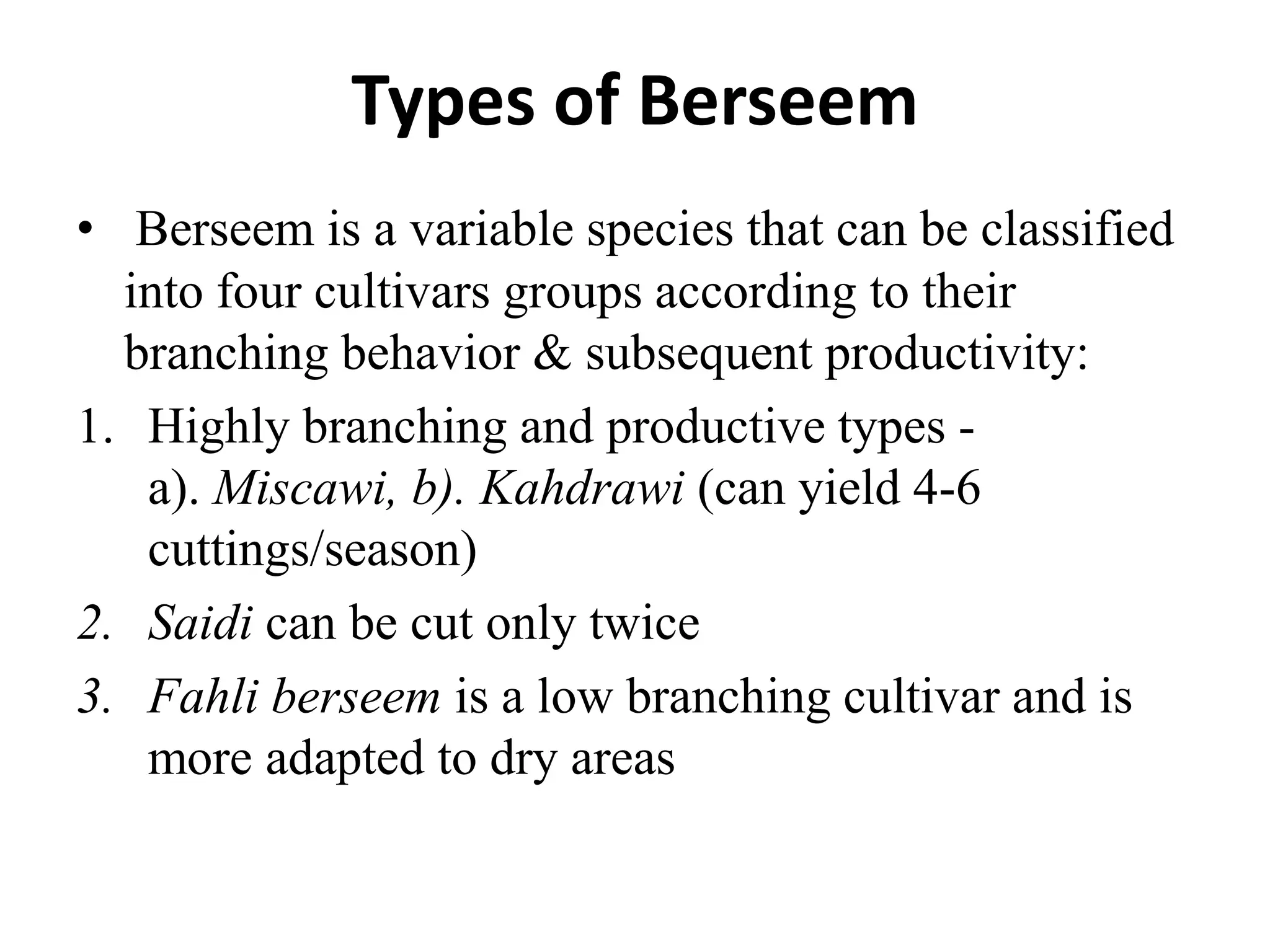 Berseem: Fodder Crop | PPTX