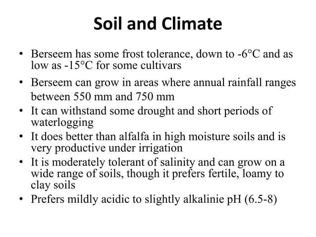 Berseem: Fodder Crop | PPTX