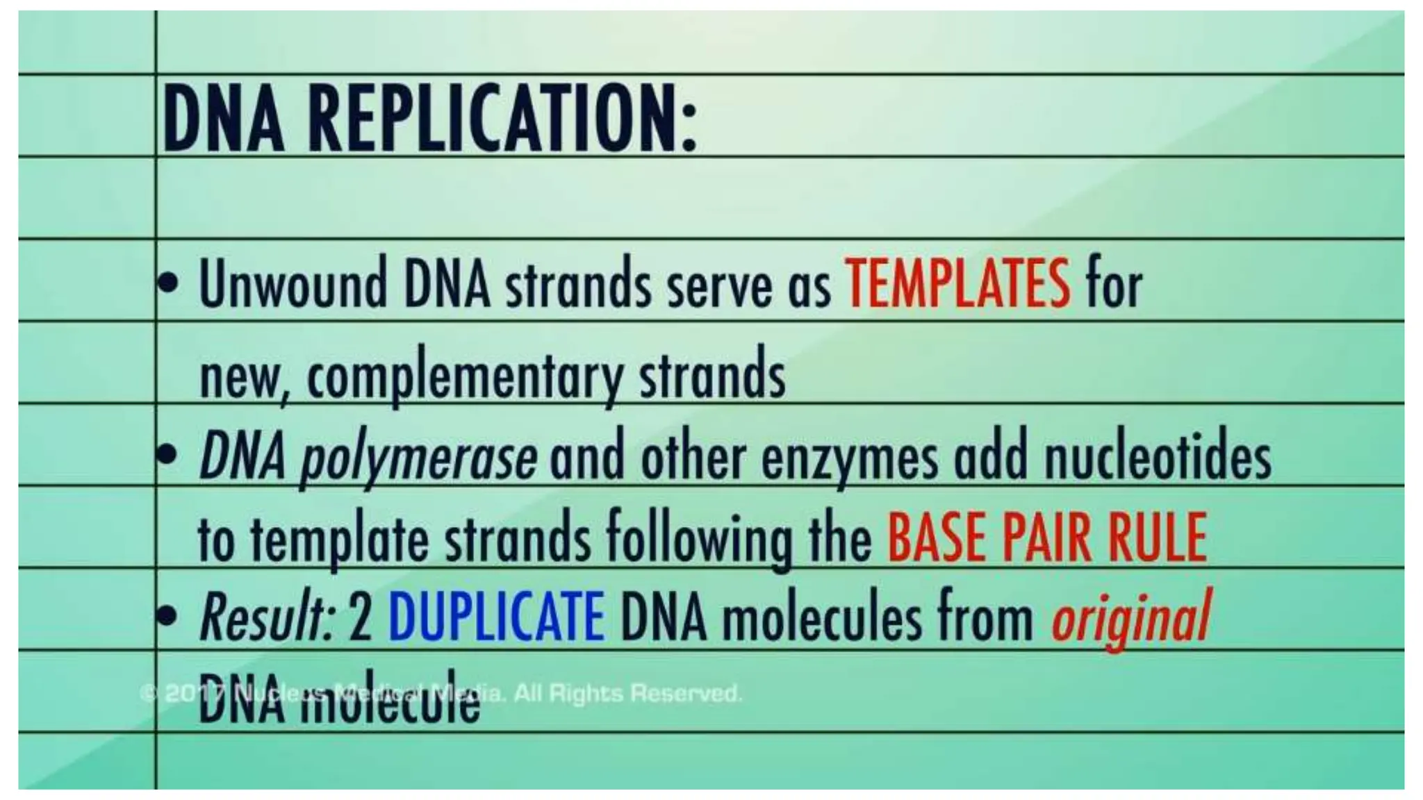dna transcription and the translation.pptx
