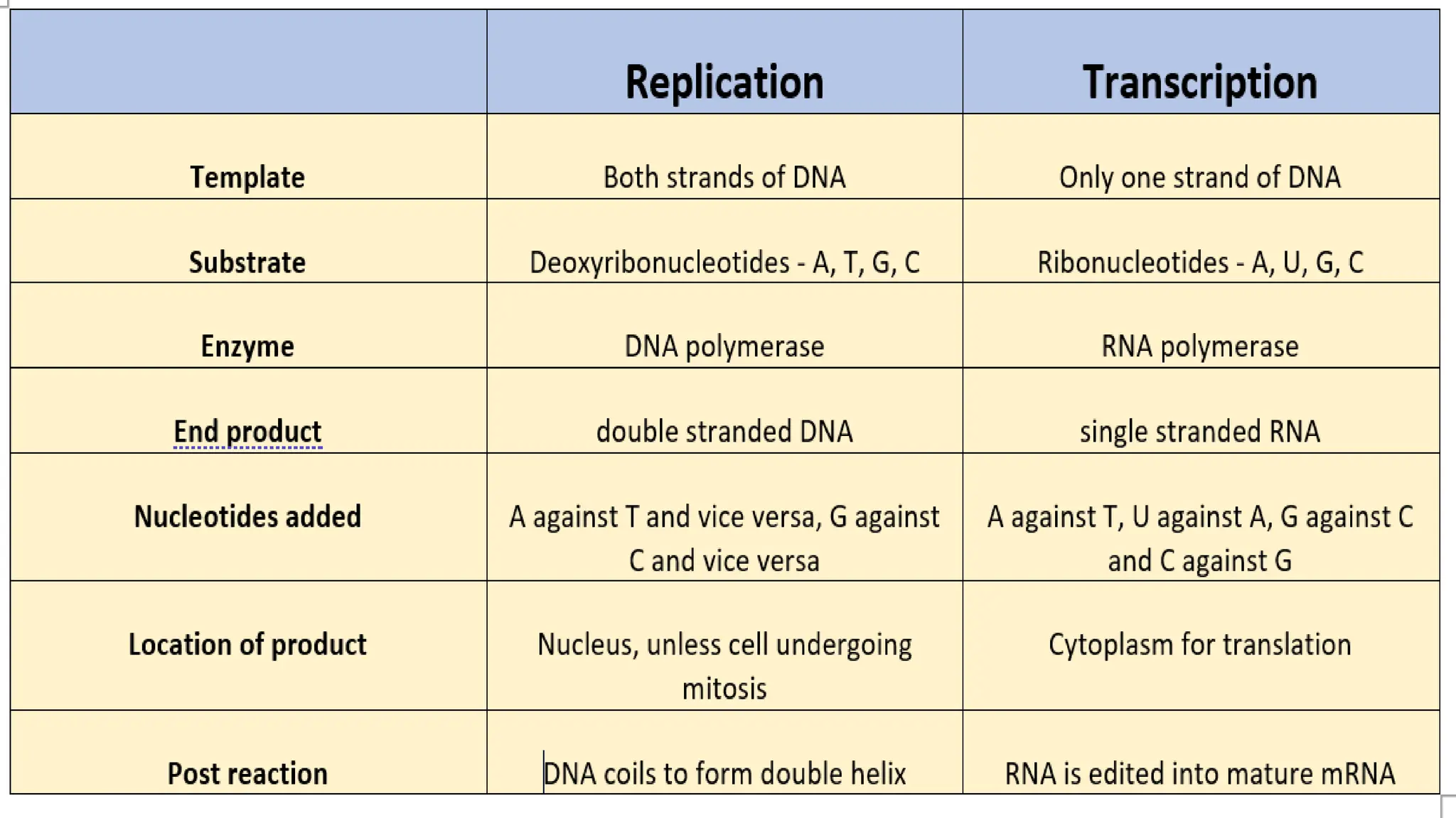 dna transcription and the translation.pptx